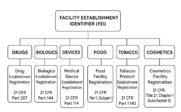 Understanding FDA Registration and FEI Number Requirements for Contract ...